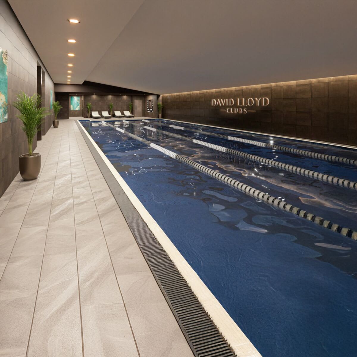 Gym with swimming pool in Notting Hill | Gym in Notting Hill | David ...